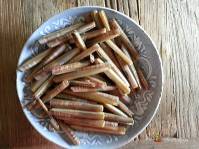 6 delicious types of Shellfish you will not usually find on a ...