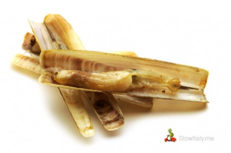 6 delicious types of Shellfish you will not usually find on a ...