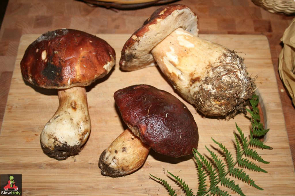 Popular Foods of Italy: 40 iconic Italian dishes and must-try Italian foods